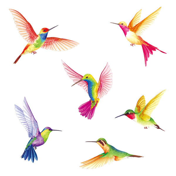 Hummingbirds Window Clings Stickers – DECOWALL